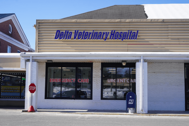 Wayne - 24/7 emergency - Delta Veterinary Hospital